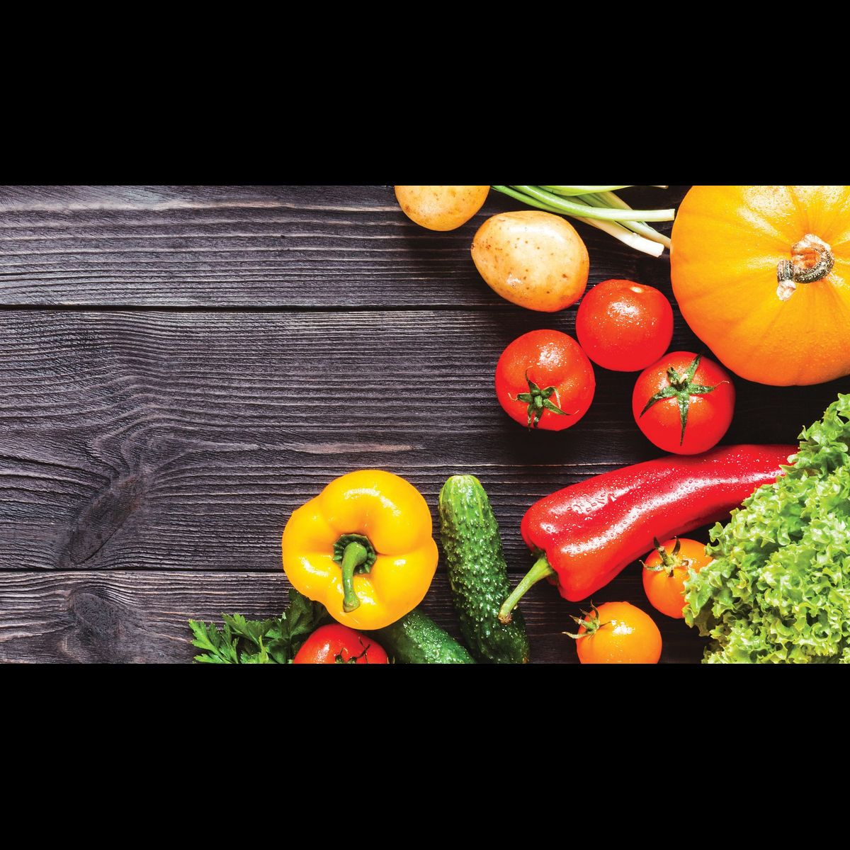 territorial-seeds-seed-rack-program